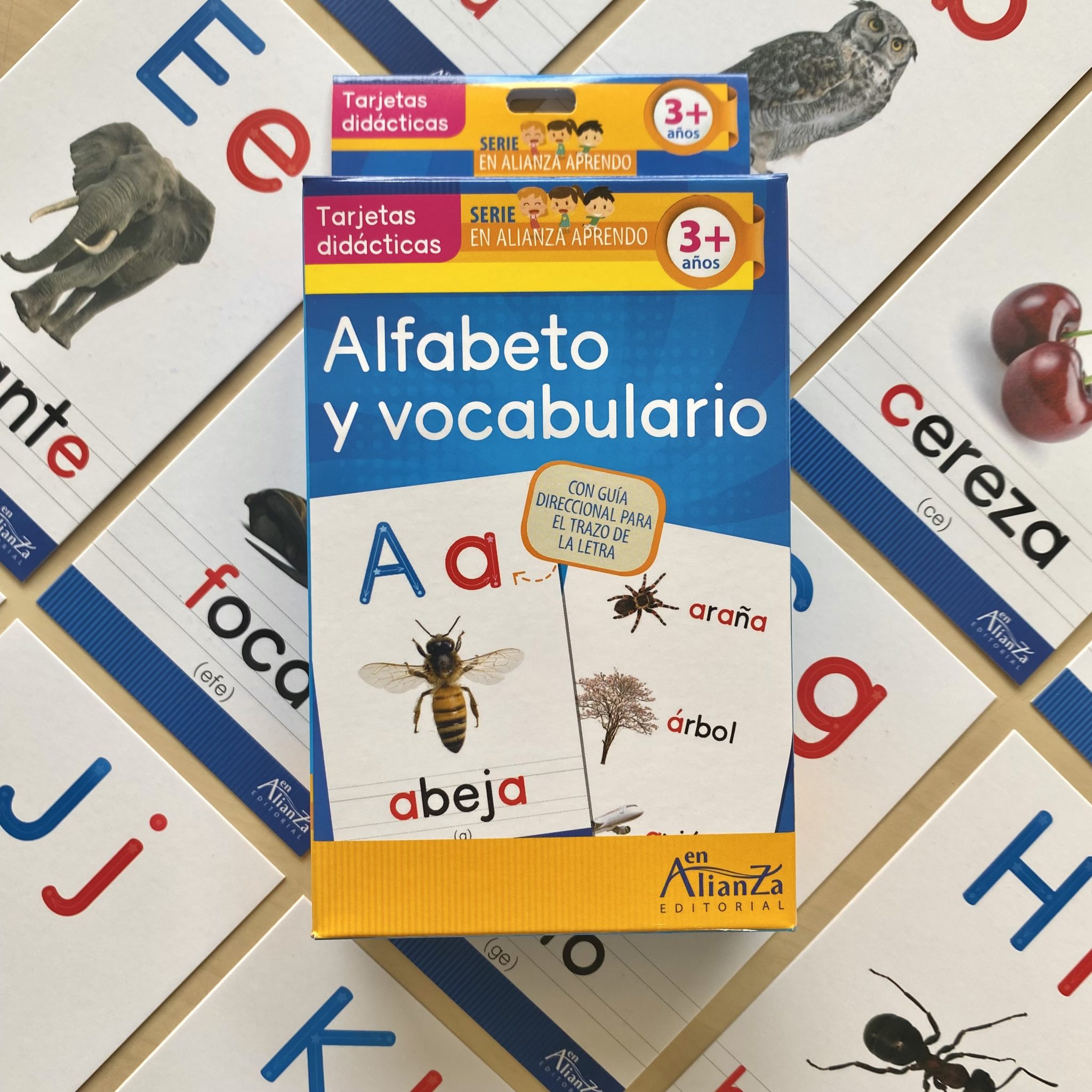 Vocabulario – REDIDAC