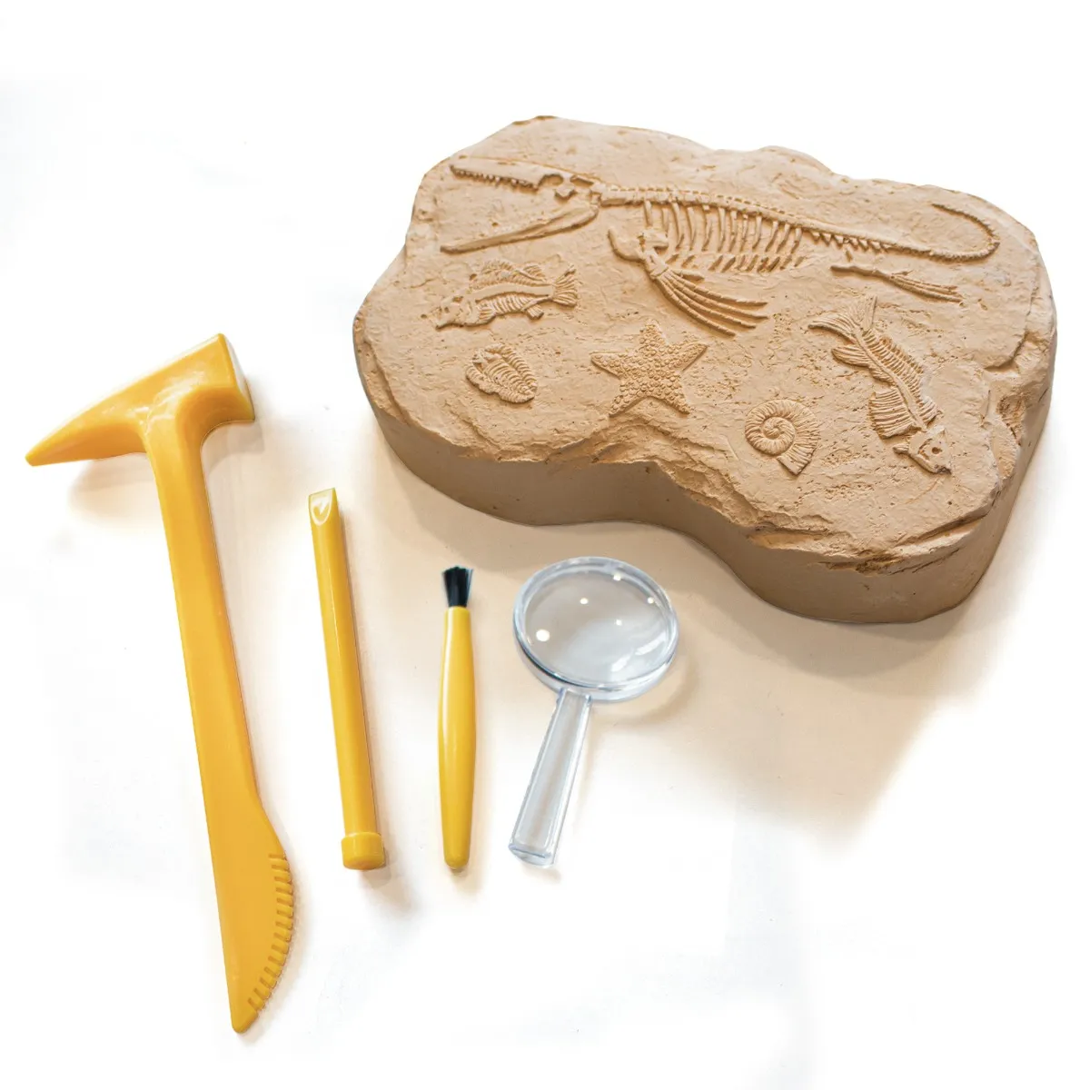 FOSSILS EXCAVATION KIT – REDIDAC