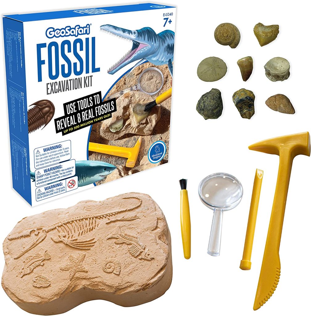 FOSSILS EXCAVATION KIT – REDIDAC